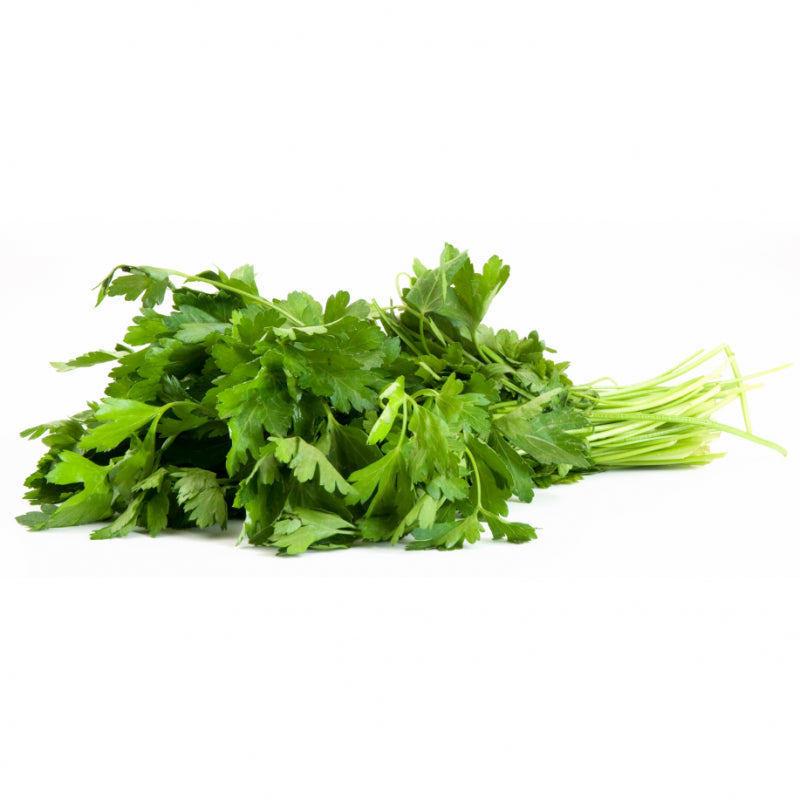 CILANTRO — Basha Foods Service