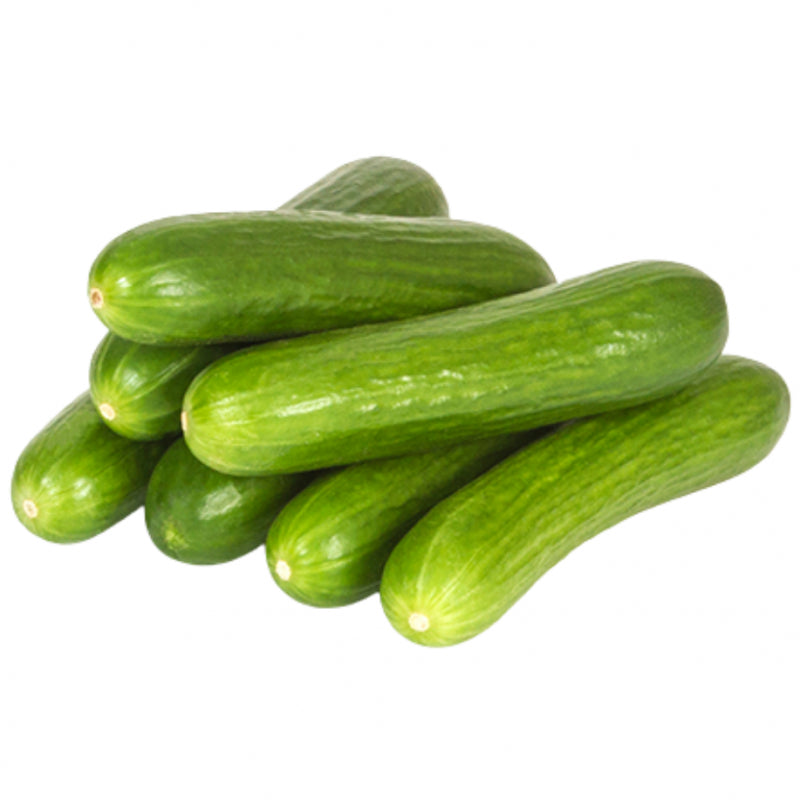 CUCUMBER MINI — Basha Foods Service